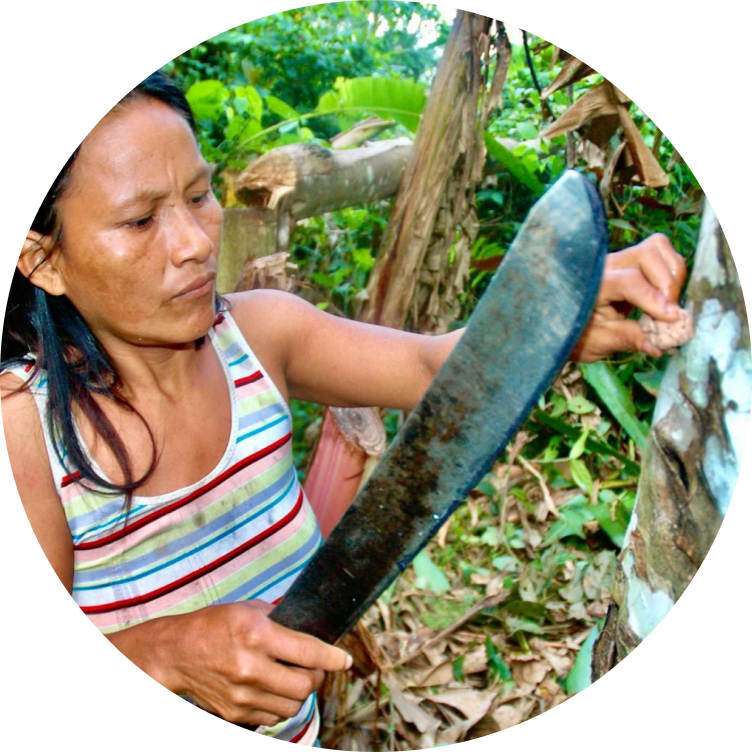 Napo Therapeutics: cura patologie rare del tratto gastro-intestinale